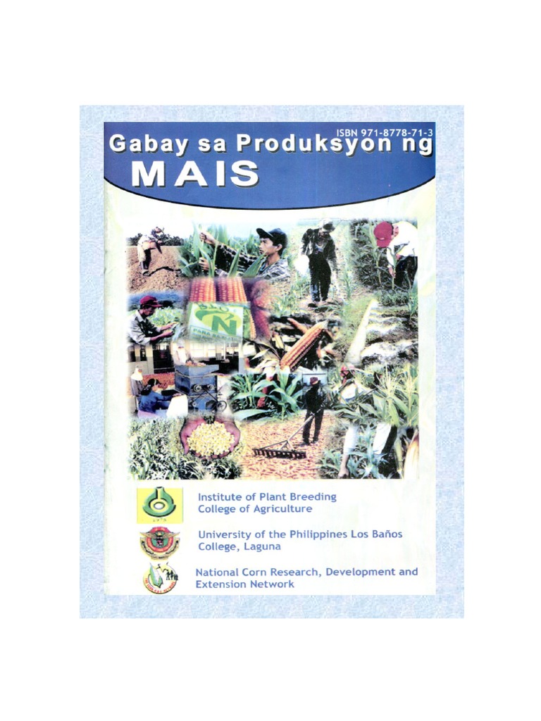 Produksiyon NG Mais2 - Corn | PDF