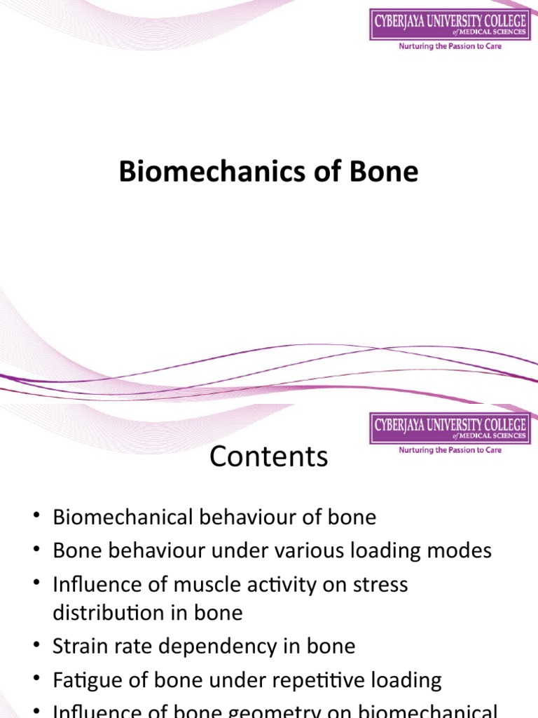 Plotting System Responses Matlab Simulink Pdf Skeleton Bone