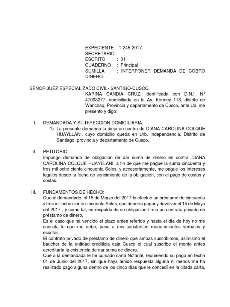 Demanda Civil | PDF | Demanda judicial | Gobierno