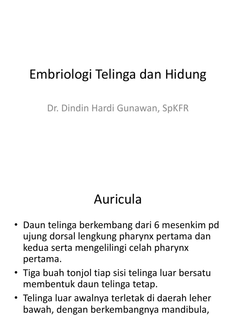 Embriologi Telinga Dan Hidung | PDF
