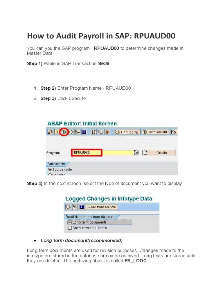 SAP Payroll Audit with RPUAUD00 | PDF | Database Transaction | Databases