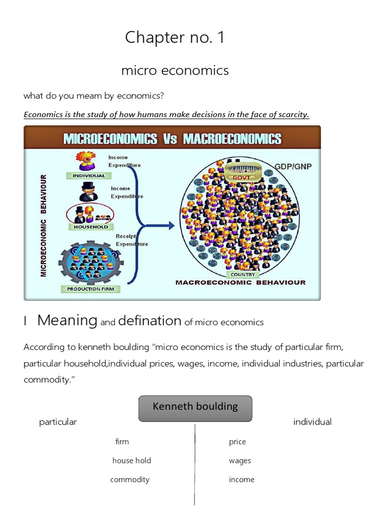 Chapter No. 1: Micro Economics | PDF | Microeconomics | Economics