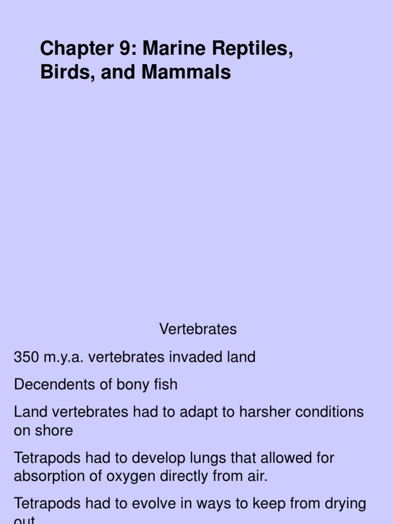 Marine Adaptations of Reptiles and Mammals | PDF | Cetacea | Whales