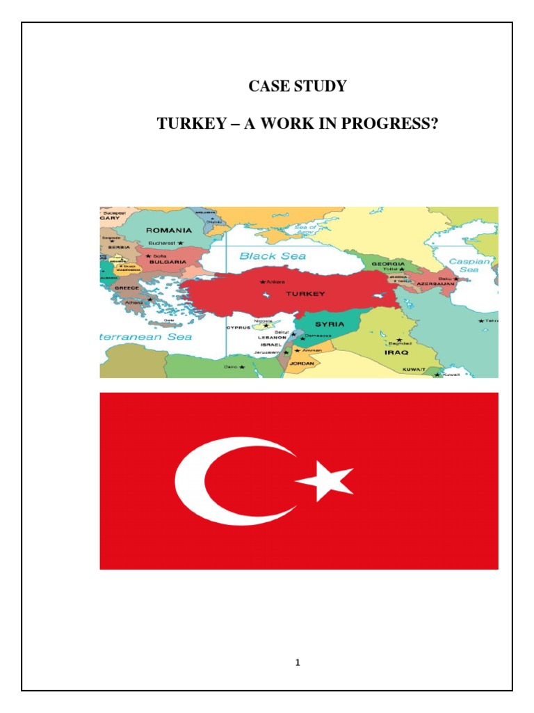 Turkey A Work in Progress Case Study | PDF | Turkey | Recep Tayyip Erdoğan