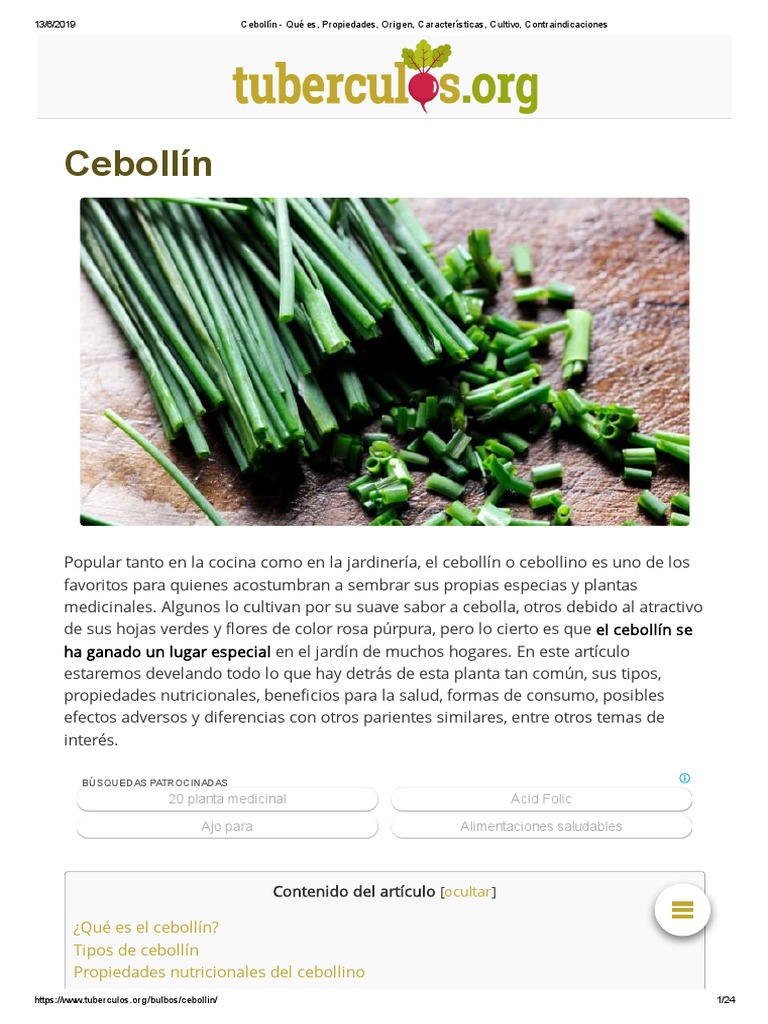 Cebollín - Qué Es, Propiedades, Origen, Características, Cultivo ...