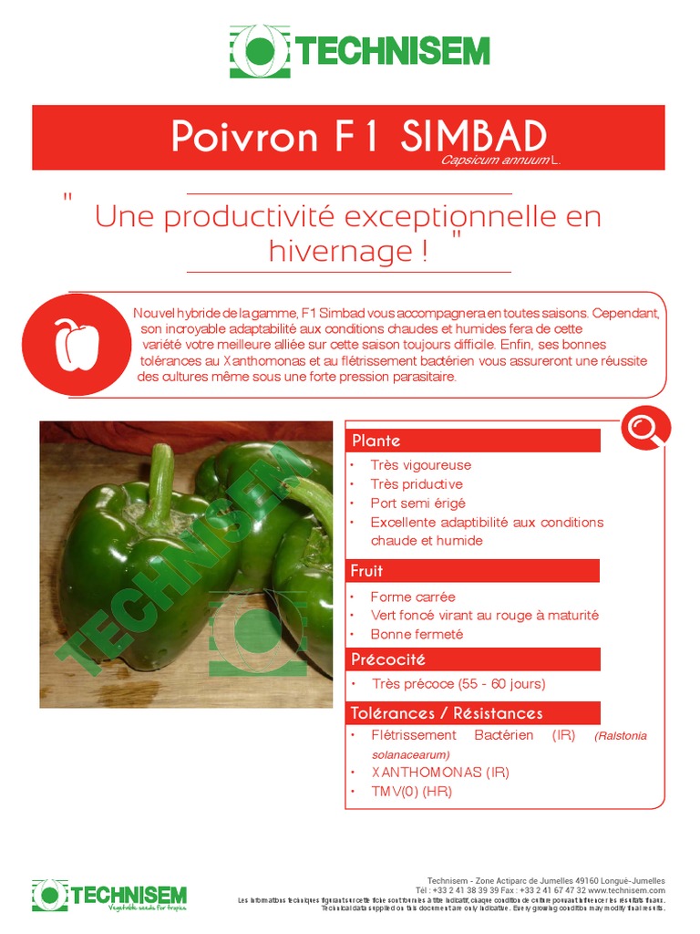 Poivron F1 Simbad : Productivité et Résistance | PDF | Agronomie ...