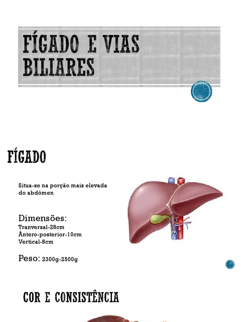 Fígado e Vias Biliares | PDF | Fígado | Pâncreas