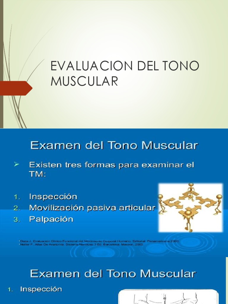 Evaluacion Del Tono Muscular 15 de Mayo Tecnicas | PDF
