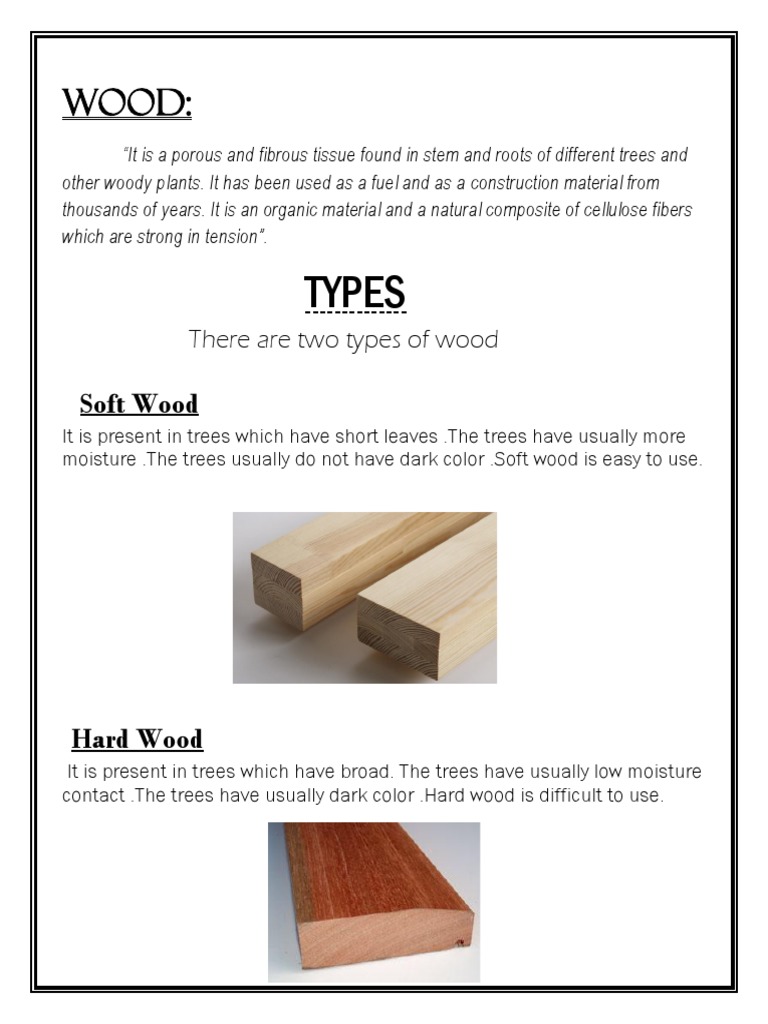 Wood Shop Complete. | PDF | Wood | Trees