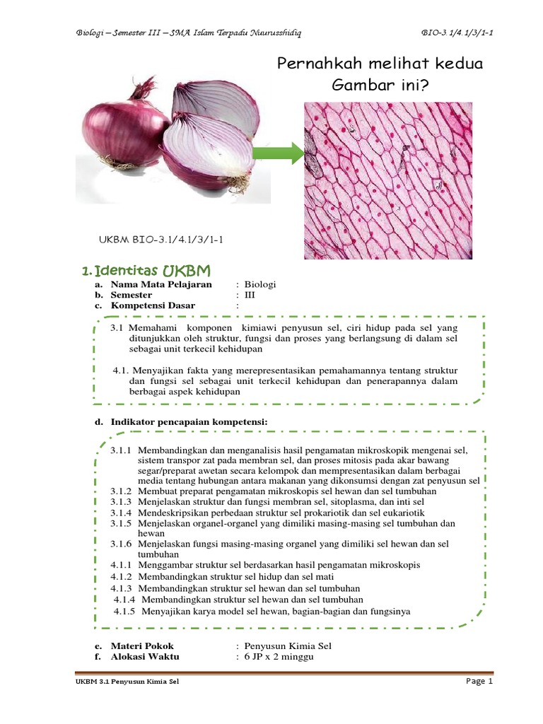 UKBM 1 Penyusun Kimia Sel (1-14) | PDF