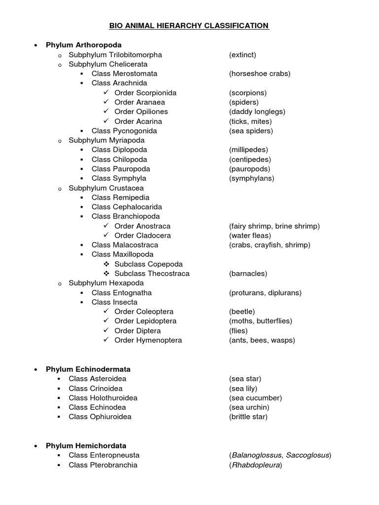 Bio Animal Hierarchy Classification | PDF | Arthropods | Living Fossils