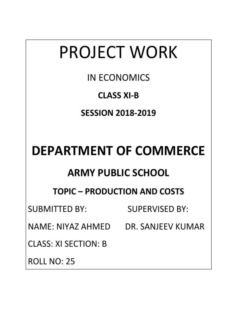 Project Work | PDF