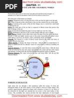 Human Eye and Colourful World Notes | PDF | Eye | Human Eye