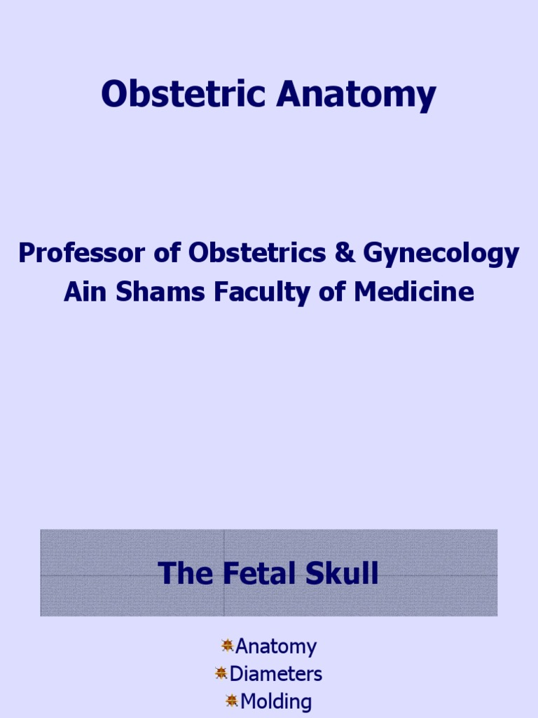 Obstetric Anatomy | PDF | Pelvis | Vagina