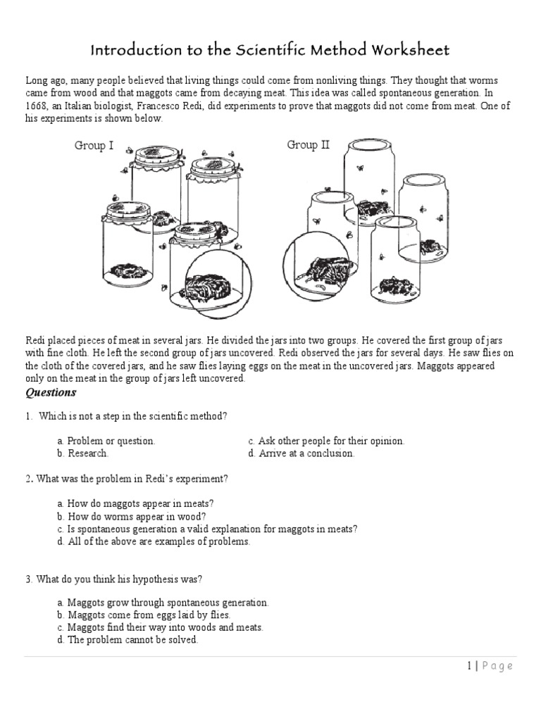 Redi's Experiment on Spontaneous Generation | PDF | Experiment | Nature