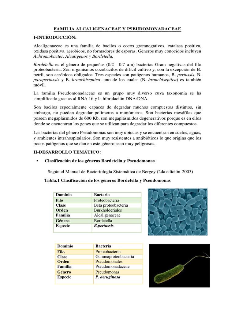 ++alcaligenaceae y Pseudomodanaceae | PDF | Pseudomonas | Las bacterias