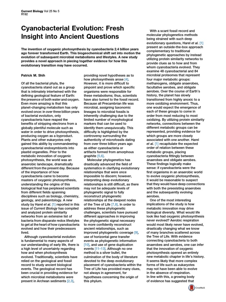 Cyanobacterial Evolution Insights | PDF | Cyanobacteria | Phylogenetic Tree