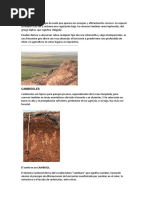 Características de los Suelos Cambisoles | PDF | Suelo | Ciencias de la ...