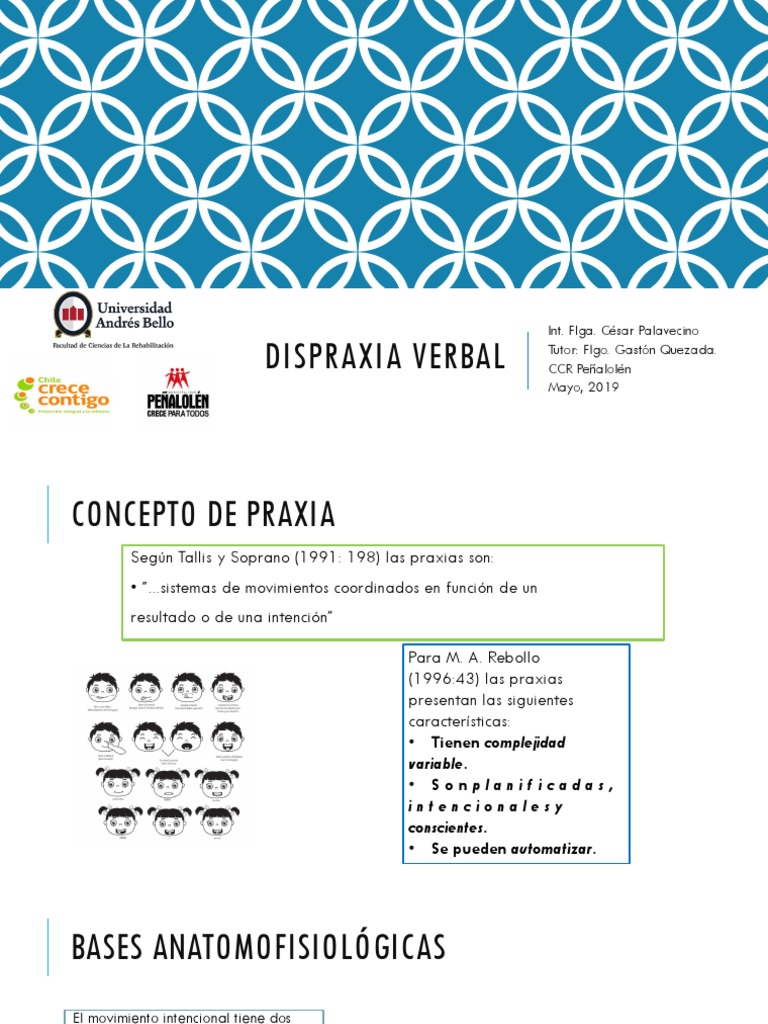 Dispraxia Verbal | PDF | Comunicación | Memoria