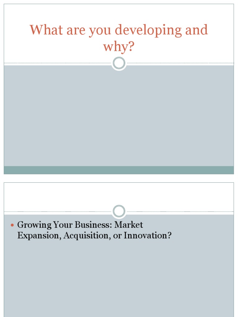 What Are You Developing and Why? | PDF | New Product Development ...