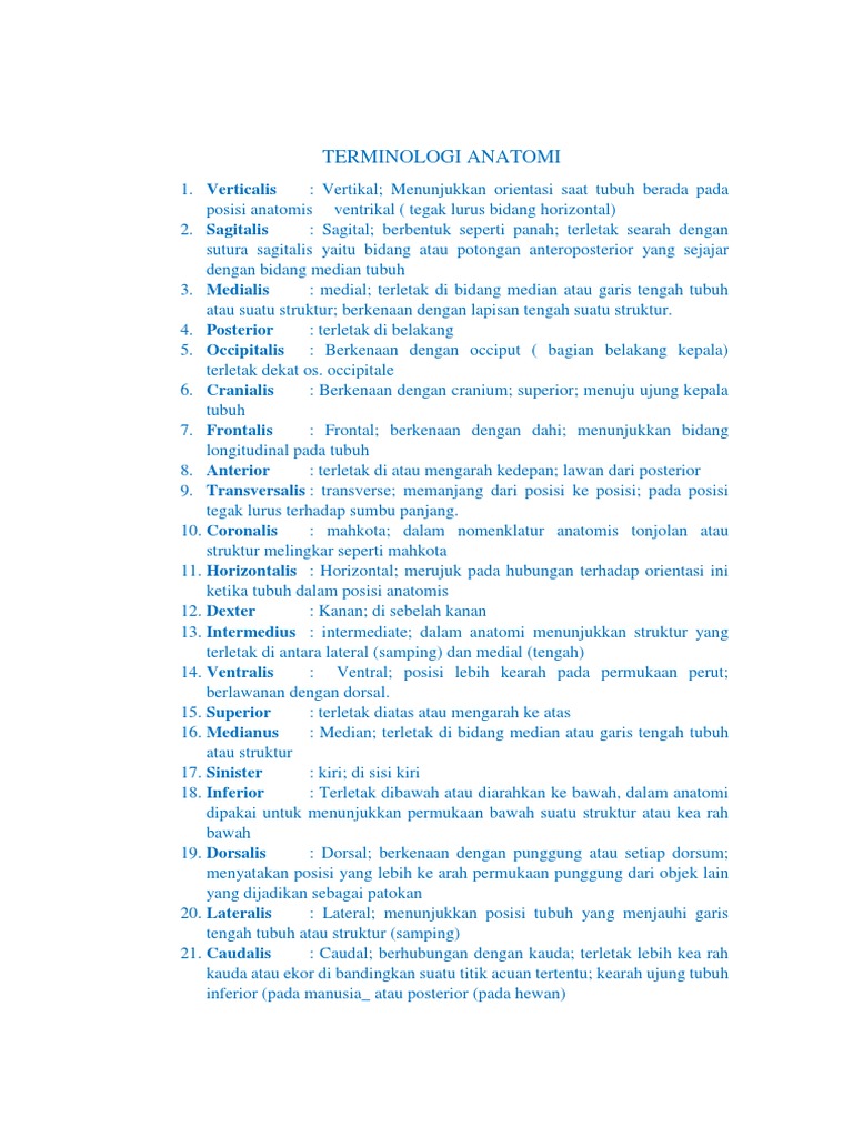 Terminologi Anatomi | PDF