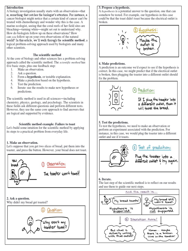 Scientific Method | PDF | Scientific Method | Hypothesis