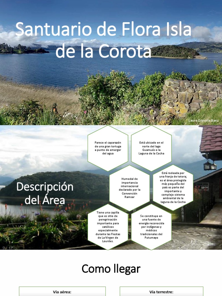 Santuario de Flora Isla de La Corota | PDF | Servicios de ecosistema ...