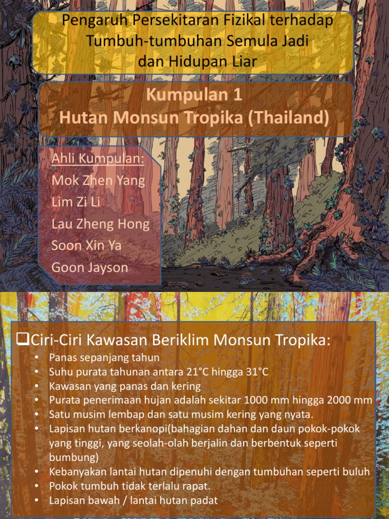 Ciri Hidupan Liar Hutan Monsun Tropika | PDF