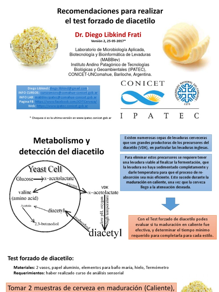 IPATEC Test Forzado de Diacetilo V3 2017 1 PDF | PDF | Cerveza ...