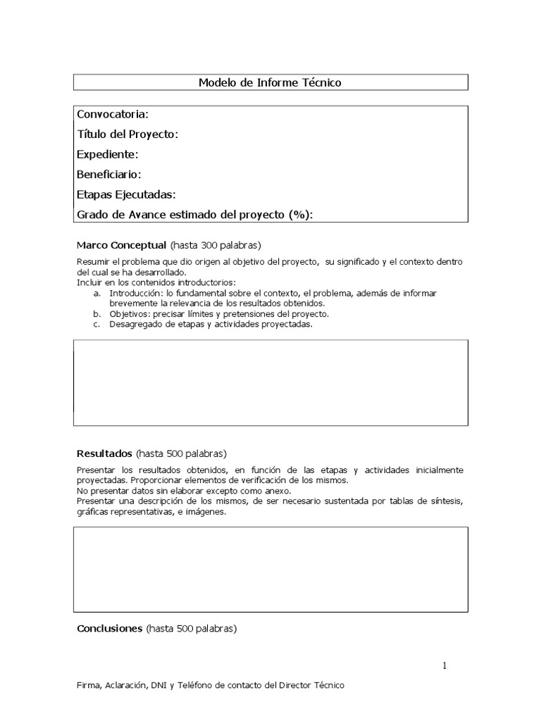 Modelo de Informe Técnico | PDF