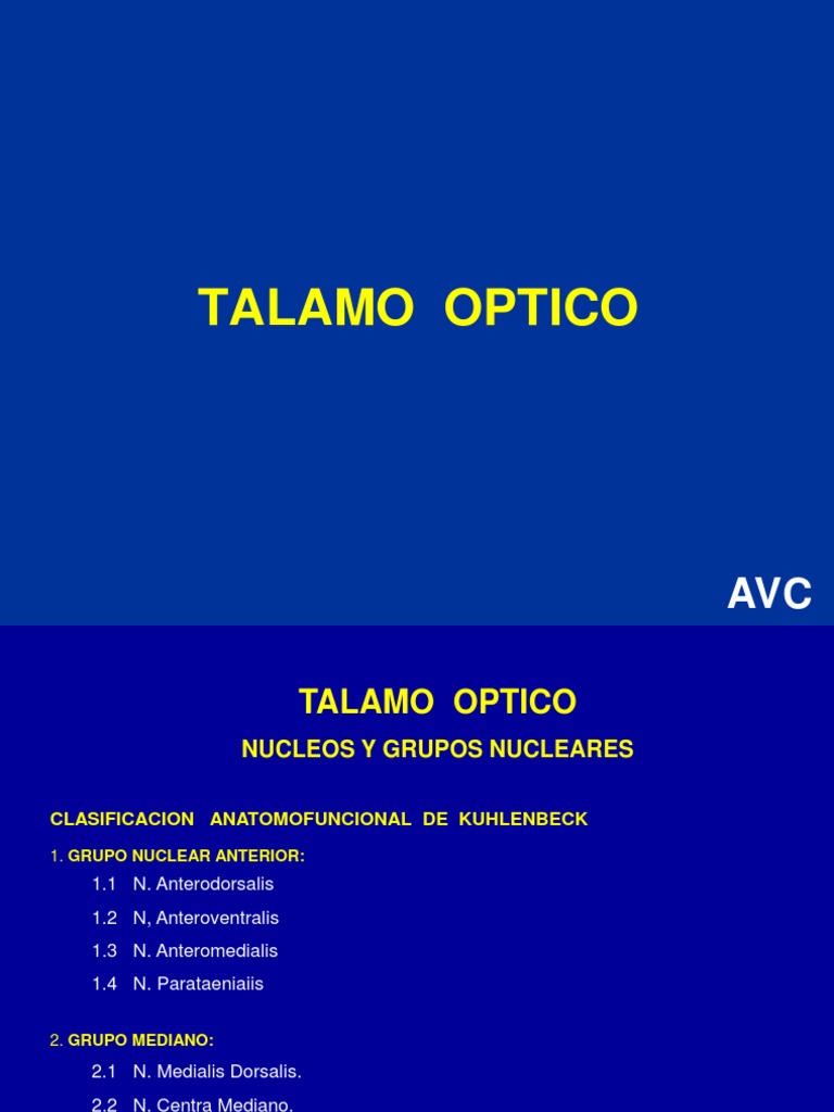 Talamo Optico. | PDF | Tálamo | Corteza cerebral