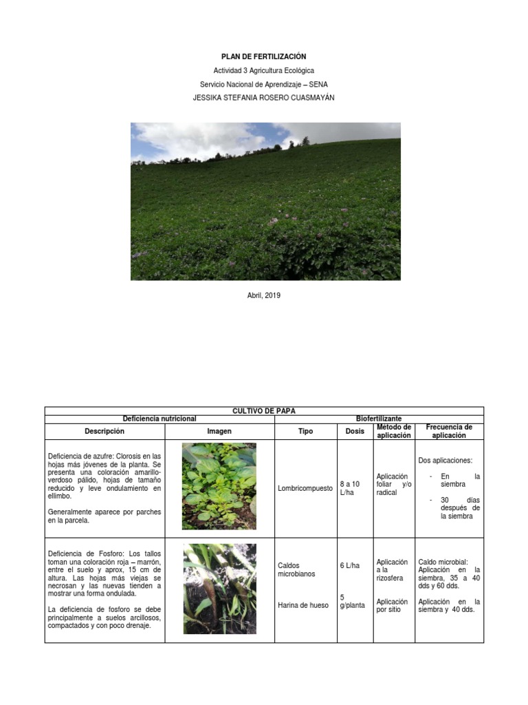 Actividad 3 - Plan de Fertilización | PDF | Agronomía | Botánica