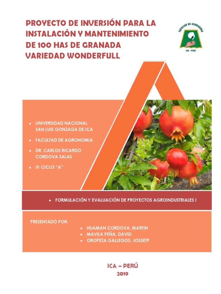 Inversión en 100 Has de Granada Wonderfull | PDF | Salud y bienestar ...