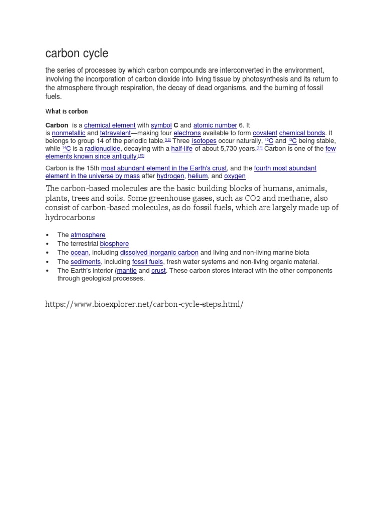 Carbon Cycle: What Is Corbon | PDF