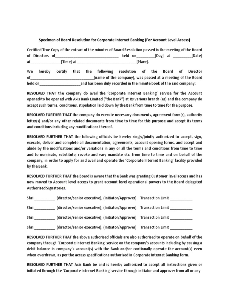 BR1 - Board Resolution For Account Level Access - With Minutes of ...