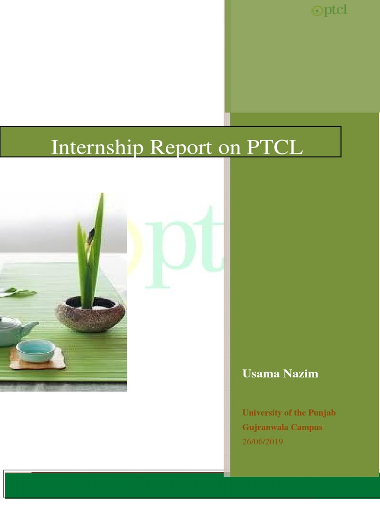 Internship Report PTCL Marketing | PDF | Telecommunications | Business