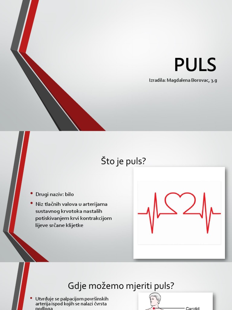 Puls | PDF