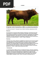 Ganado Romosinuano: Origen y Características | PDF | Vacas | Colombia