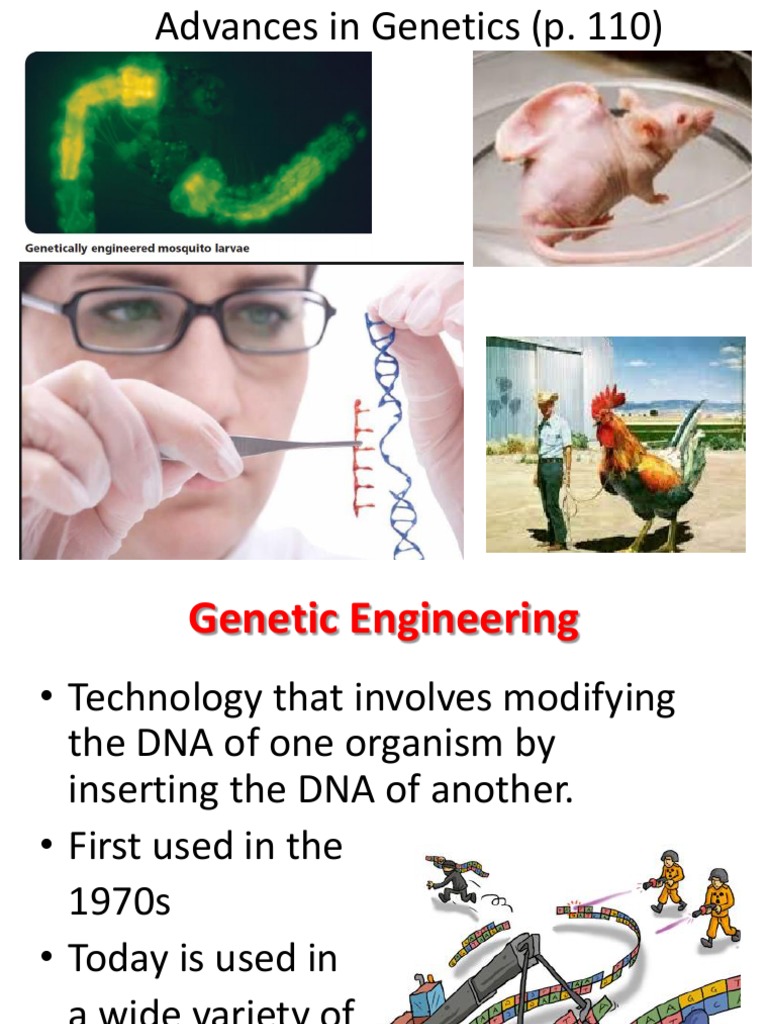 Advances in Genetics | PDF | Plasmid | Genetic Engineering