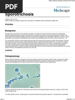 Patient-Scale POSAS-3.0 Generic-Scar English | PDF | Paresthesia | Medicine