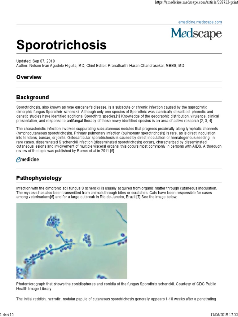 Sporotrichosis | PDF | Immunology | Clinical Medicine