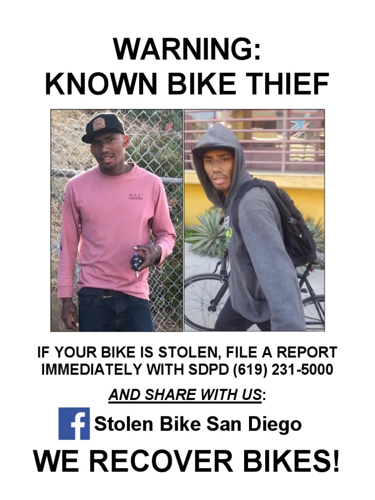 Stolen Bike San Diego Flyer | PDF