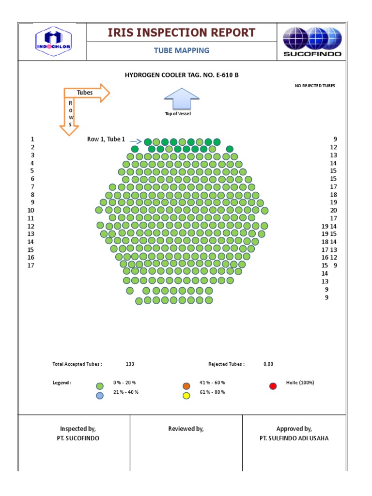 Iris Inspection Report: Tube Mapping | PDF | Automation | Chemical ...