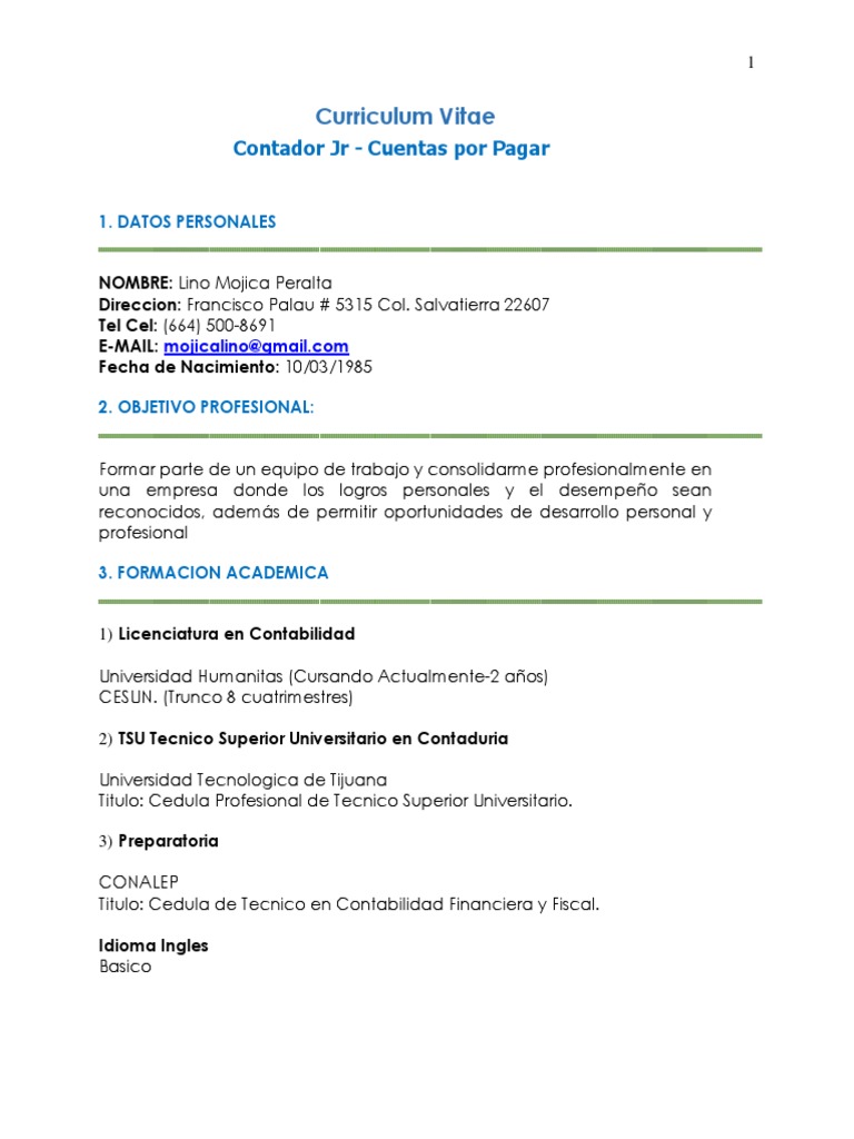 Curriculum Vitae Contador Jr | Contabilidad | Business