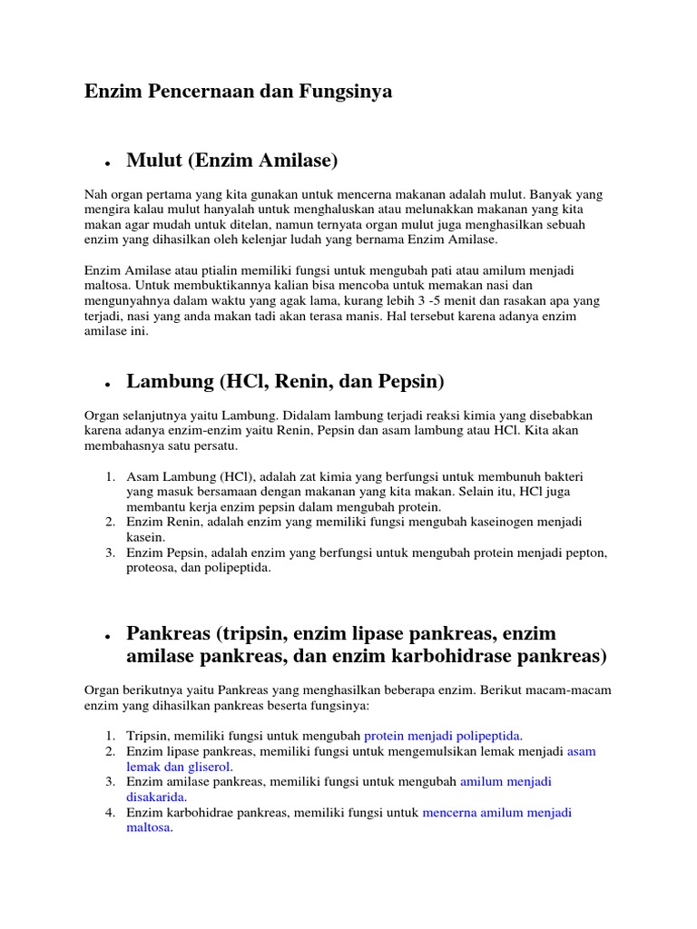 Enzim Pencernaan Dan Fungsinya | PDF