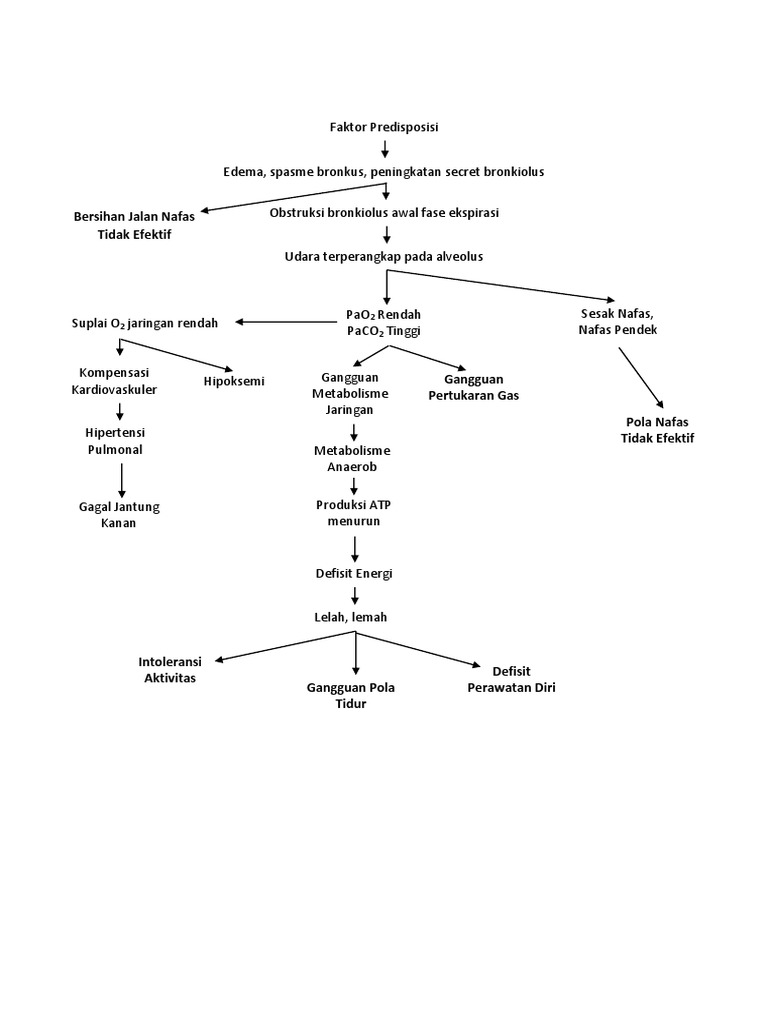 Pathway Ppok | PDF