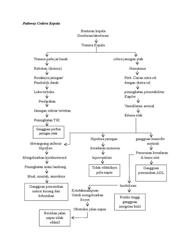 Pathway Cedera | PDF