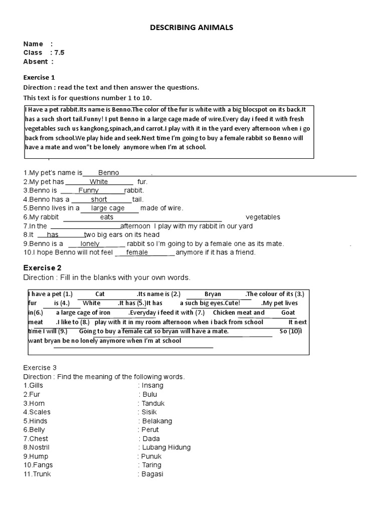 Describing Animals: Exercise 1 | PDF | Animals And Humans | Nature