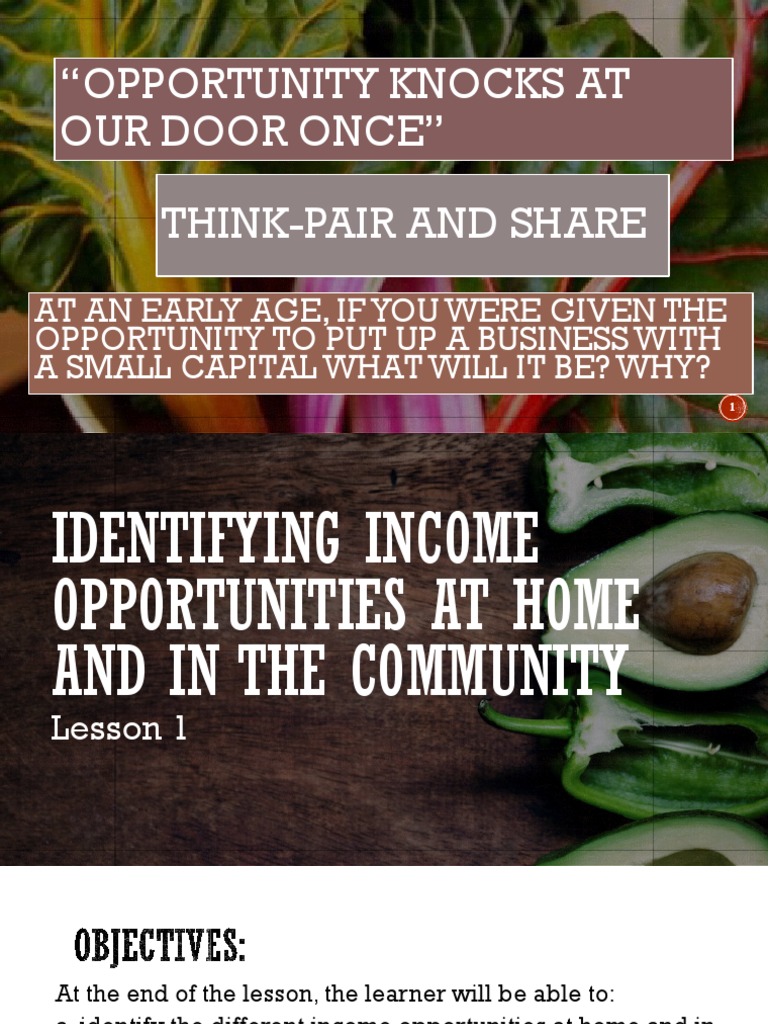 Lesson 1 Identifying Income Opportunities at Home and in The Community ...