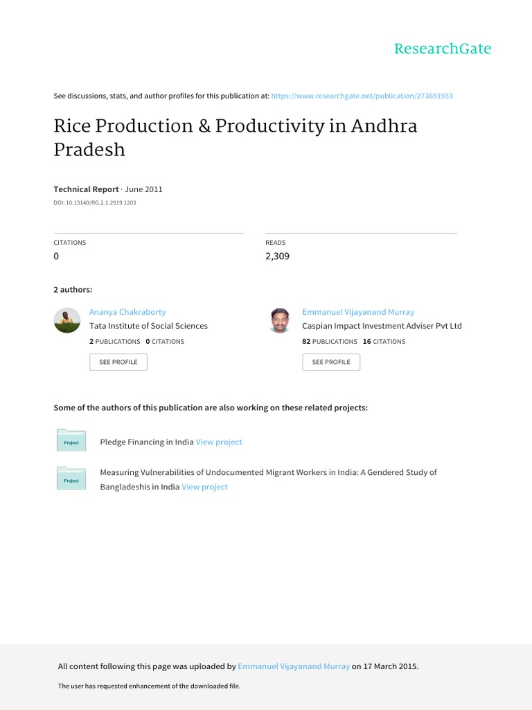 Rice Report | PDF | Rice | Agriculture